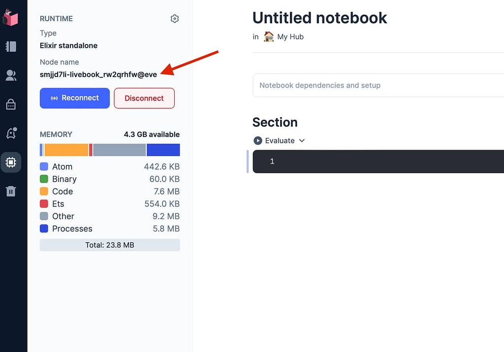 How do change the hostname of a livebook runtime? - Livebook Forum - Elixir Programming Language ...