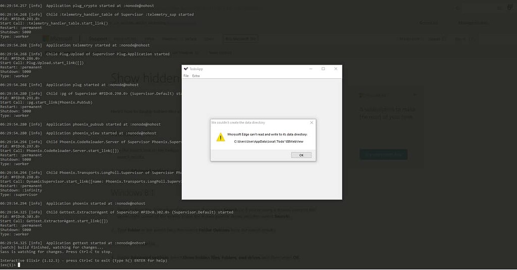 Elixir Desktop Application Does Open In Edge Questions Help Elixir Programming Language Forum