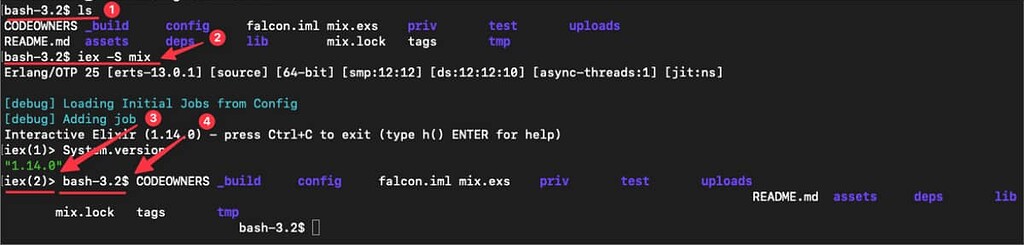 Issue of rendering newline/line warp on the terminal after running iex -S mix in the specific ...